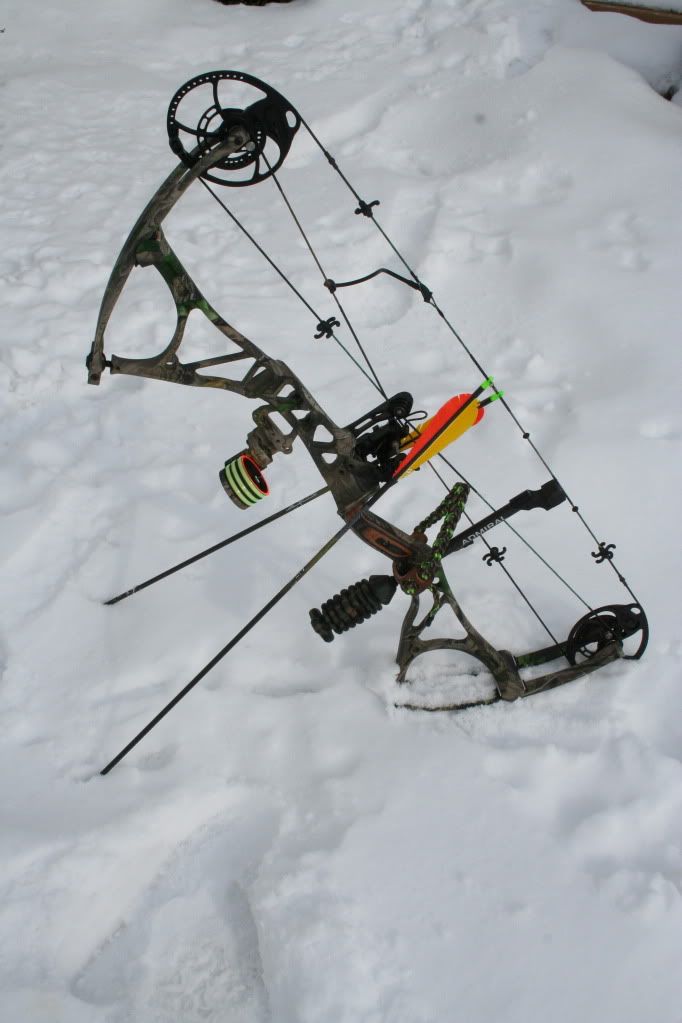 Pics of your Bowtech Admiral | Archery Talk Forum